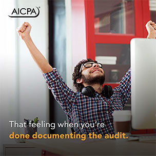 Audit Readiness Meme